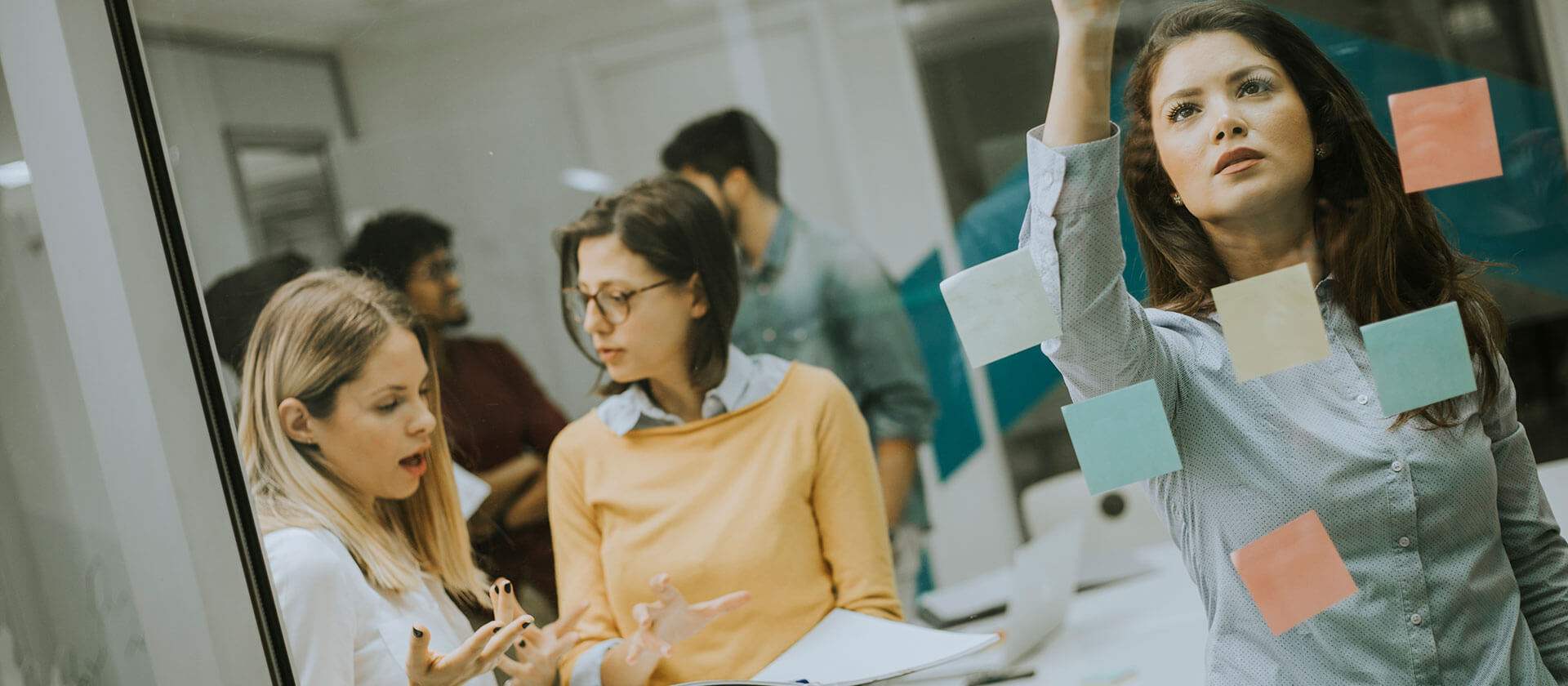 Assessment Package - careerbuddyonline®